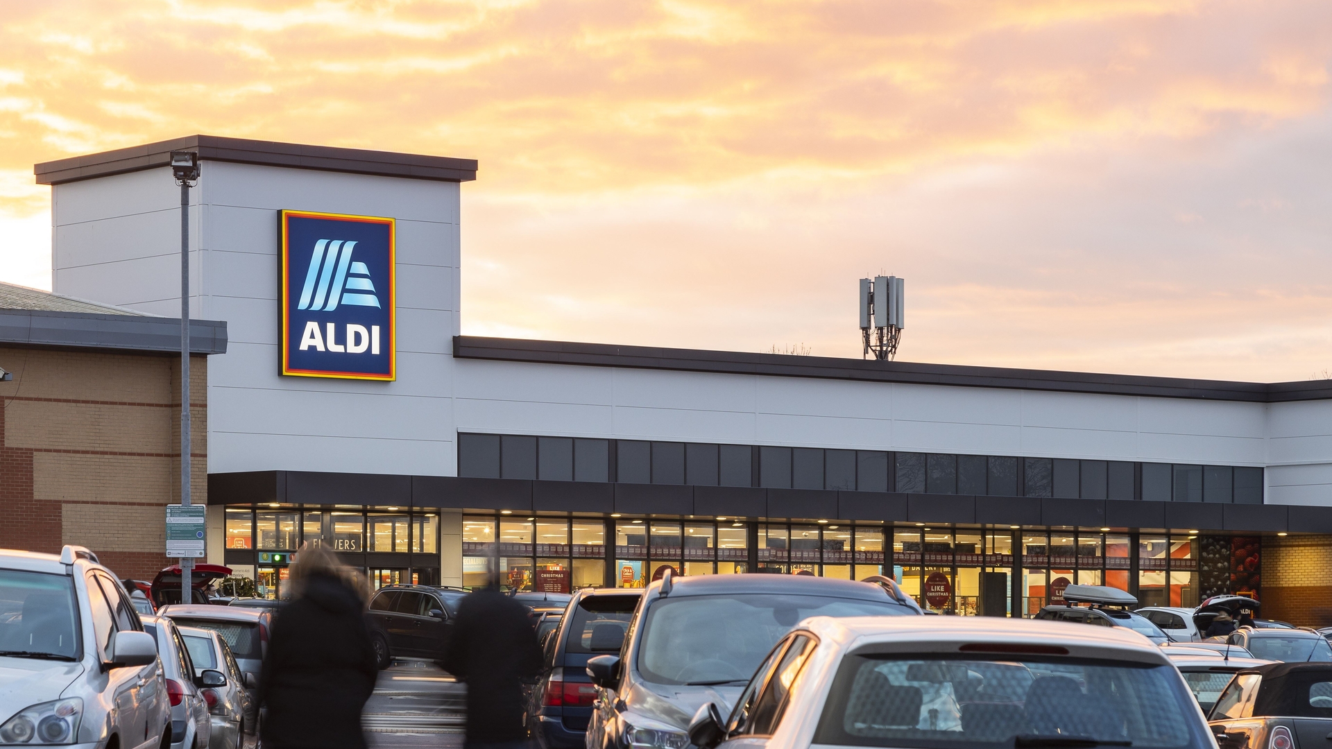 Agency | Morgan Williams