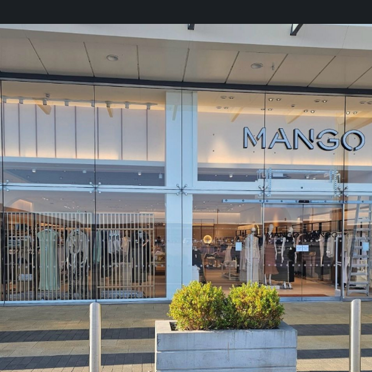 Homepage | Morgan Williams